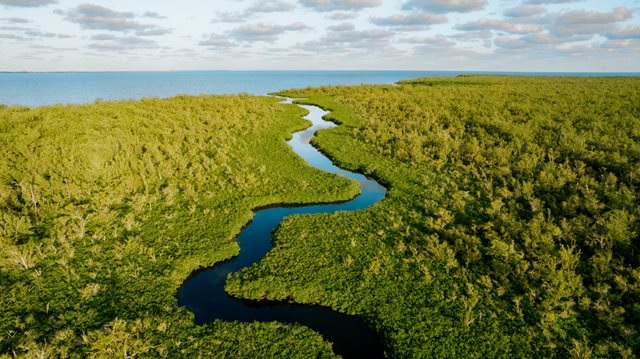 Grand Cayman Tours by Local Guides | Land and Sea Excursions | Cayman ...