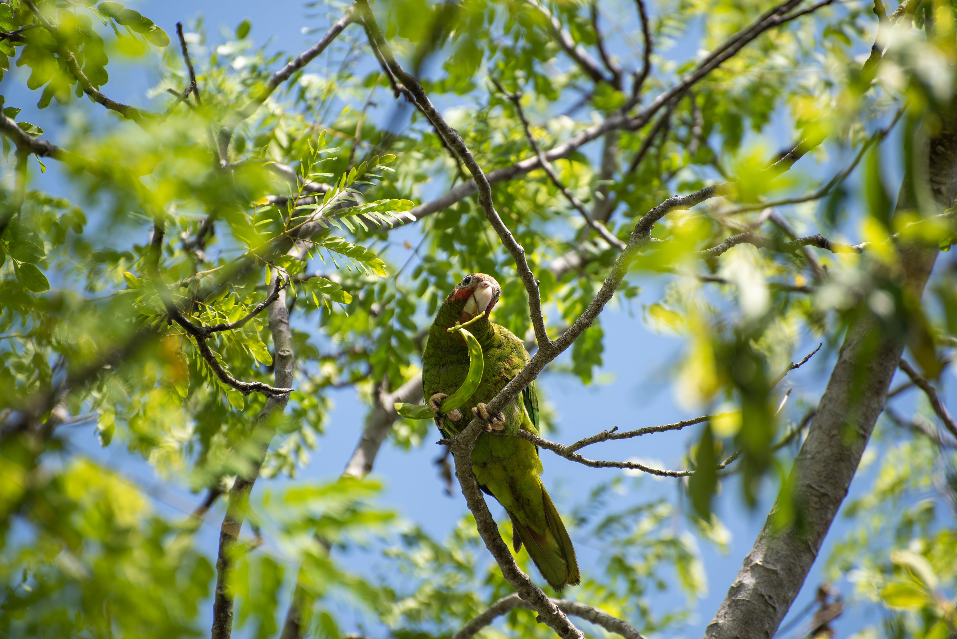 Cayman Islands Official Tourism Website | Welcome to the Cayman Islands ...